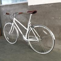 China Vintage CR-MO Steel 4130 Lady Women Girl Inner 3 Speeds City Bike for Europe Market for sale