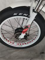 China 750W Front Motor 24 4.0 Fat Tire Snow 48V E Trike Three Wheel Cargo Electric Tricycle for sale