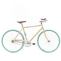 China Hard Frame 1.8m Length CE Coaster Brake Single Speed Hybrid City Bike for Adult Men for sale