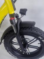 China 20inch Bafang Wheel Folding 750W Electric Fat Tire Snow Bicycle for Black Friday Sale for sale
