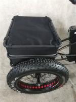 China Max Speed 50km/h 8Fun 750W Front Motor 4.0 Fat Tire Cargo Electric Trike Tricycle 3 Wheels for sale