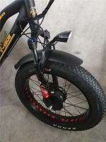China Max Speed 50km/h 8Fun 750W Front Motor 4.0 Fat Tire Cargo Electric Trike Tricycle 3 Wheels for sale