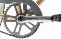 China 13 KGS 24inch Alloy Hub Single Speed Coaster Brake Holland City Bike for Men and Women for sale