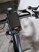 China Adult Fat Tyre Cycle E Ebike Electric Bike 48V 1000W 21A Central Mid Drive Motor 26 Inch for sale