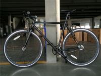 China Steel Fork Nexus 3 Speed City Bike 28 Men City Bicycle for Convenient Urban Commutes for sale