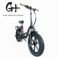 China CE Approved 48V 10.4AH Electric Folding Bike with 750W Motor and Top Speed of 50KM/H for sale