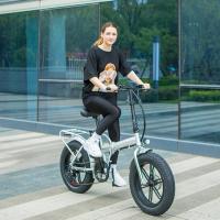 China 48V 13AH 750W Electric Folding Bike with 20