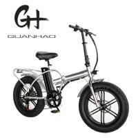 China 48V 13AH 750W Electric Folding Bike with 20