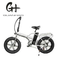 China 48V 13AH 750W Electric Folding Bike with 20