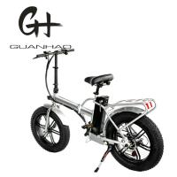 China 48V 13AH 750W Electric Folding Bike with 20