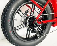 China Foldable Frame 48V 750W Electric Bike with Step Through Design and 20x4 Fat Tire for sale