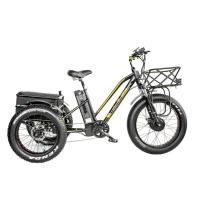 China Disc Brake 750W Electric Cargo Tricycle Fat Tire 3 Wheel E Trike for Long Range Travel for sale