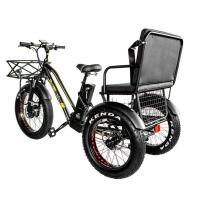 China Disc Brake 750W Electric Cargo Tricycle Fat Tire 3 Wheel E Trike for Long Range Travel for sale