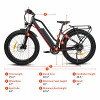 China 26 Inch 1000W 48V 17AH Lithium Battery 7 Speeds Electric Mountain Bike for Adult Men for sale