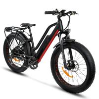 China 26 Inch 1000W 48V 17AH Lithium Battery 7 Speeds Electric Mountain Bike for Adult Men for sale