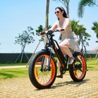China 26 Inch 1000W 48V 17AH Lithium Battery 7 Speeds Electric Mountain Bike for Adult Men for sale