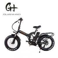 China 48V 21AH Full Suspension 1000W 20