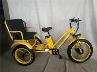 China 750W Central Motor Fat Tire Electric Rickshaw with Aluminum Carrier and Passenger Seat for sale