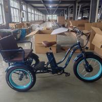 China 750W Central Motor Fat Tire Electric Rickshaw with Aluminum Carrier and Passenger Seat for sale