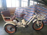 China 750W Central Motor Fat Tire Electric Rickshaw with Aluminum Carrier and Passenger Seat for sale
