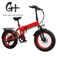 China OEM Customized 20