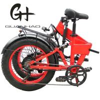 China OEM Customized 20