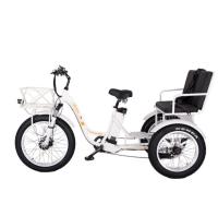 China 48V E Trike 3 Wheel 750 Watt Fat Tire Rickshaw with Bafang 750W Motor and Performance for sale