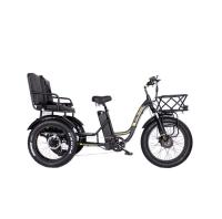 China 48V E Trike 3 Wheel 750 Watt Fat Tire Rickshaw with Bafang 750W Motor and Performance for sale