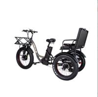 China 48V E Trike 3 Wheel 750 Watt Fat Tire Rickshaw with Bafang 750W Motor and Performance for sale