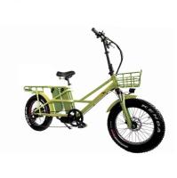 China 48V Electric Dual Motor 1000 Watt Long Range Fat Tire Cargo E-Bike with Fast Charging for sale