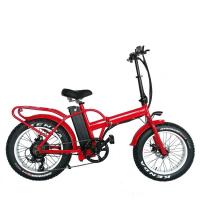 China 1000W 48V 21AH 7 Speed Disc Brake 20