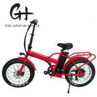 China 1000W 48V 21AH 7 Speed Disc Brake 20