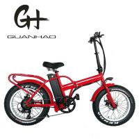 China 1000W 48V 21AH 7 Speed Disc Brake 20