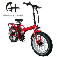 China 1000W 48V 21AH 7 Speed Disc Brake 20