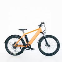 China Electric MTB Mountain Bike 26
