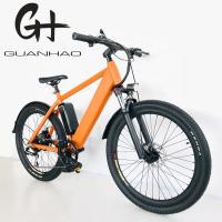 China Electric MTB Mountain Bike 26