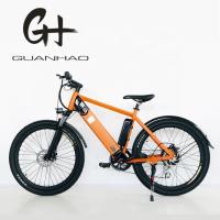 China Electric MTB Mountain Bike 26