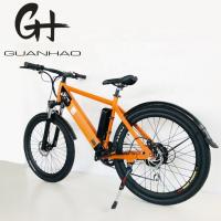 China Electric MTB Mountain Bike 26