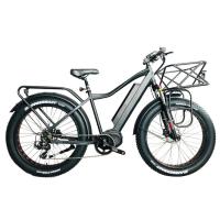 China USA Market EN15194 CPSC 48V 1000W 17AH Electric Mountain Bike with Bafang Middle Motor for sale