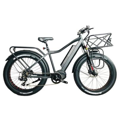 China USA Market EN15194 CPSC 48V 1000W 17AH Electric Mountain Bike with Bafang Middle Motor for sale