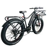 China USA Market EN15194 CPSC 48V 1000W 17AH Electric Mountain Bike with Bafang Middle Motor for sale
