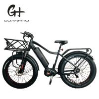 China USA Market EN15194 CPSC 48V 1000W 17AH Electric Mountain Bike with Bafang Middle Motor for sale