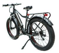 China USA Market EN15194 CPSC 48V 1000W 17AH Electric Mountain Bike with Bafang Middle Motor for sale
