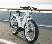 China USA Market EN15194 CPSC 48V 1000W 17AH Electric Mountain Bike with Bafang Middle Motor for sale