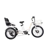 China 16.7 Ah Battery Capacity 750W HEAVY DUTY RICKSHAW ELECTRIC TRICYCLE for Passenger for sale