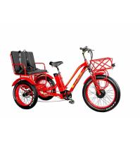 China 16.7 Ah Battery Capacity 750W HEAVY DUTY RICKSHAW ELECTRIC TRICYCLE for Passenger for sale
