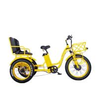 China 16.7 Ah Battery Capacity 750W HEAVY DUTY RICKSHAW ELECTRIC TRICYCLE for Passenger for sale