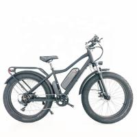 China 48V 1000W 17AH 50KM/H USA OEM Customized Fat Tire Electric Mountain Bicycle for Cargo for sale