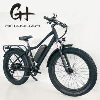 China 48V 1000W 17AH 50KM/H USA OEM Customized Fat Tire Electric Mountain Bicycle for Cargo for sale