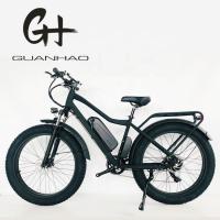 China 48V 1000W 17AH 50KM/H USA OEM Customized Fat Tire Electric Mountain Bicycle for Cargo for sale